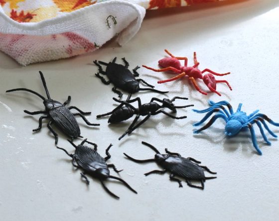 DIY Spider Ice Cubes - Spooky Halloween Drink Idea with Bugs