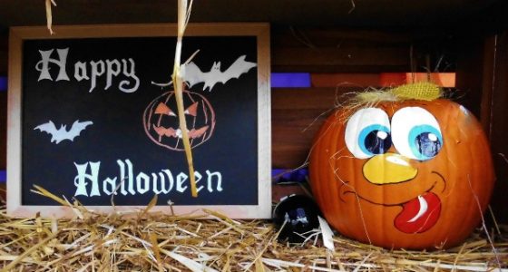 Halloween Cookie Exchange Tips - How to Host a Halloween Cookie Swap