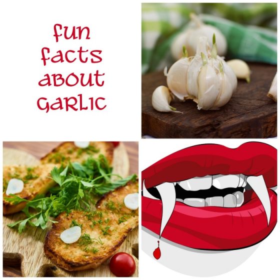 National Garlic Day - April 19 - Activities, Recipes and Growing Tips