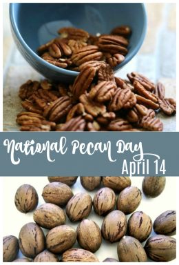 National Pecan Day - April 14 - Fun Facts and Recipes for This Tasty Nut