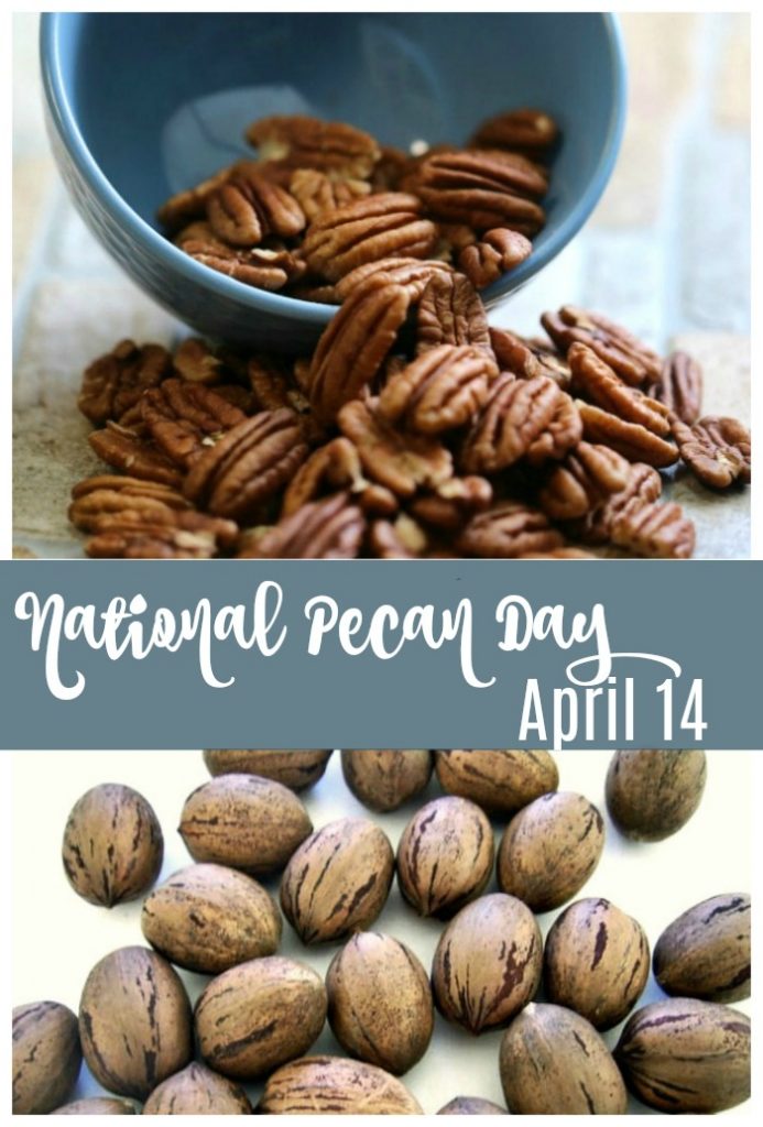 National Pecan Day - April 14 - Fun Facts and Recipes for This Tasty Nut