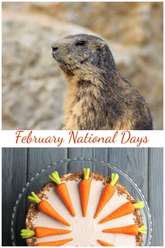 What are the National Days in February? - Get the List to Find Out!