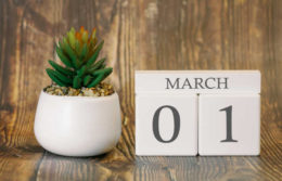 March Word Search Printable - National Days Word Find Puzzles