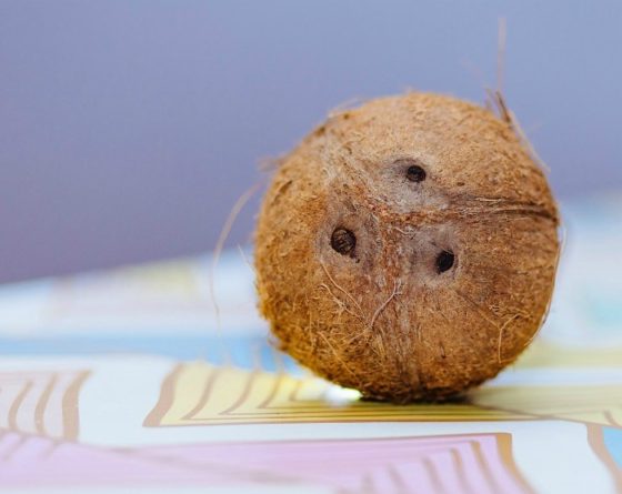 Coconut Recipes, and Fun Facts for National Coconut Day - June 26