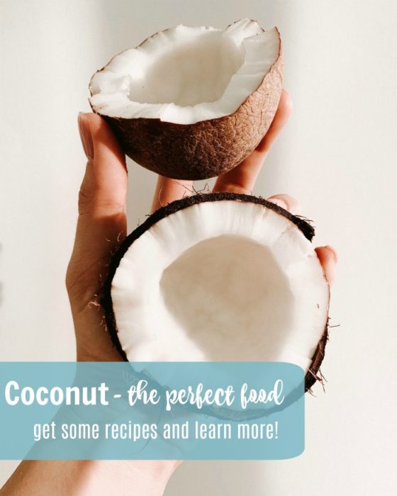 Coconut Recipes, and Fun Facts for National Coconut Day - June 26