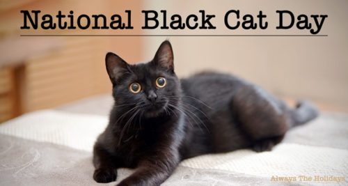 National Black Cat Day - Fun Facts and Ways to Celebrate these Felines