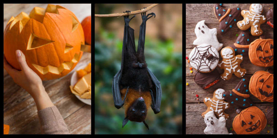 October National Days - Get a List of the Special Days in October