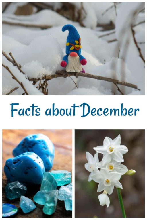 What are the National Days of December? - Find Out With Our List!