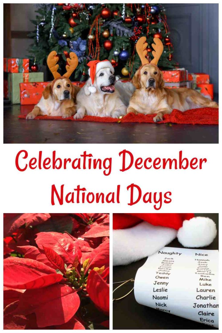 What are the National Days of December? - Find Out With Our List!