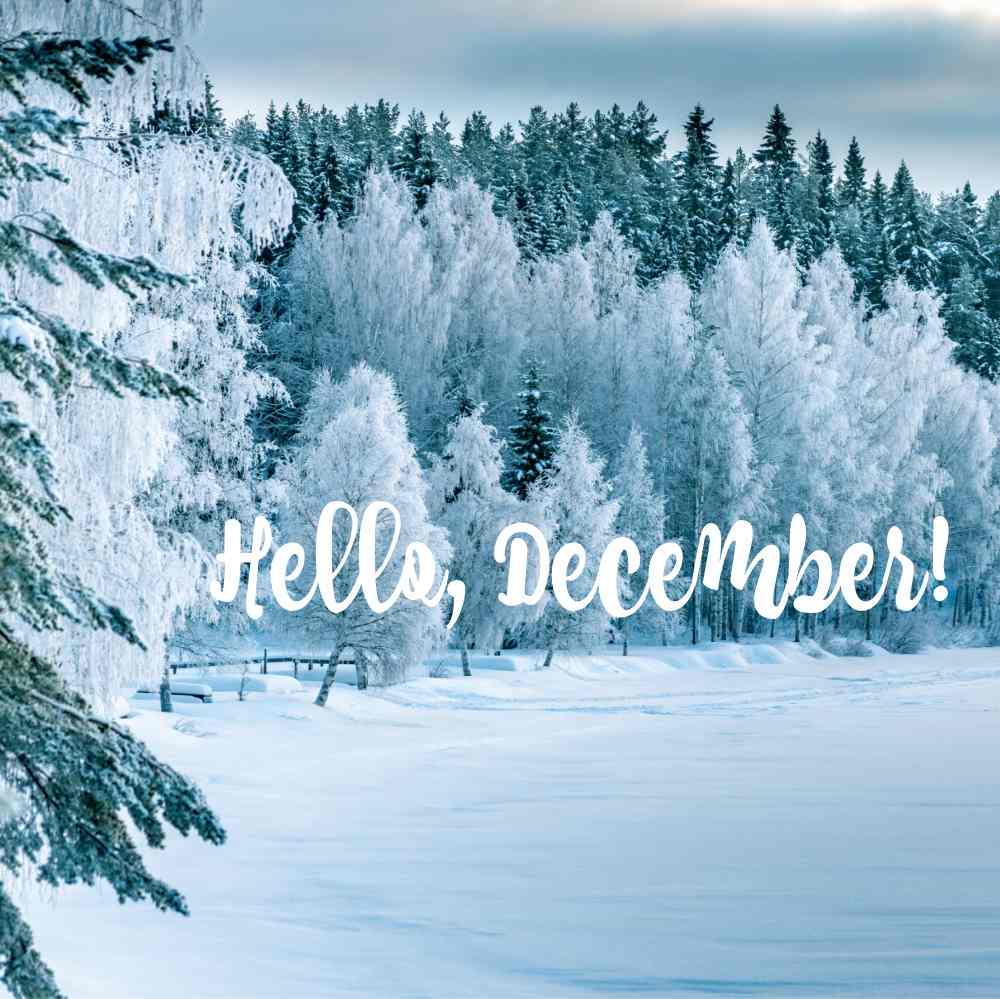 December Food Holidays - List of December Food Days to Honor