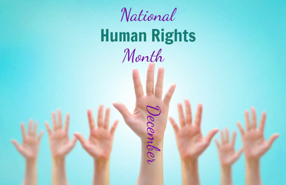 What are the National Days of December? - Find Out With Our List!