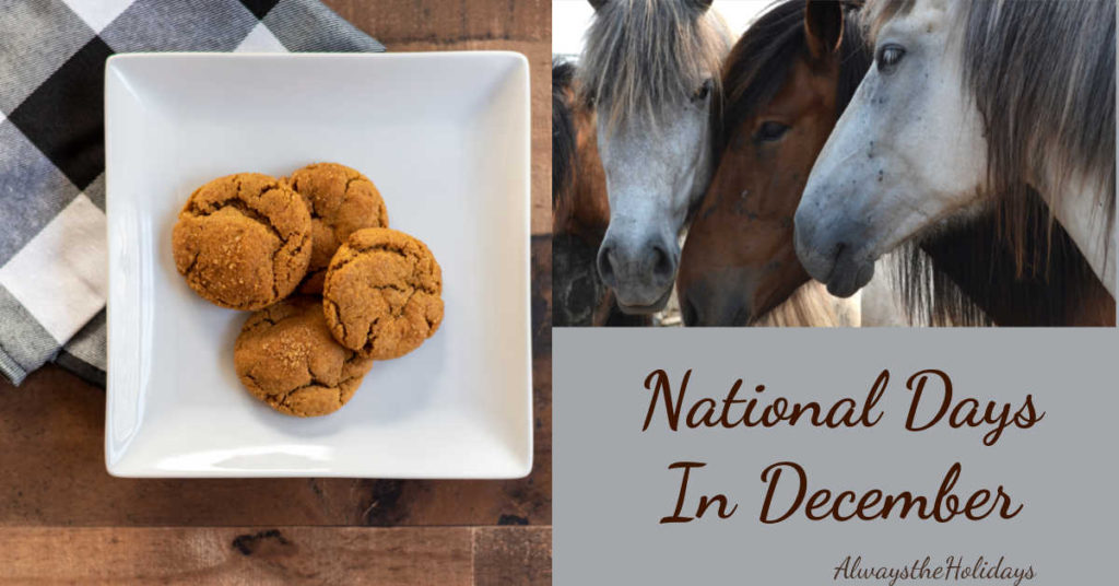 What are the National Days of December? - Find Out With Our List!