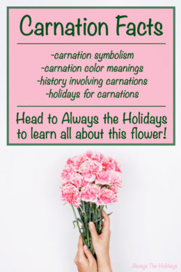 National Carnation Day - Facts About Carnations and History of the Day
