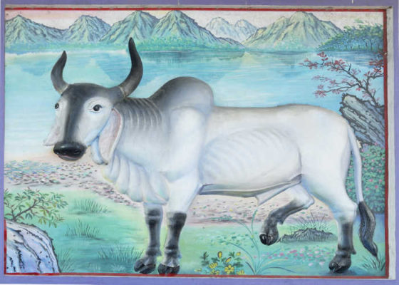 Year of the Ox Traits - Facts - Fortunes - Chinese Zodiac