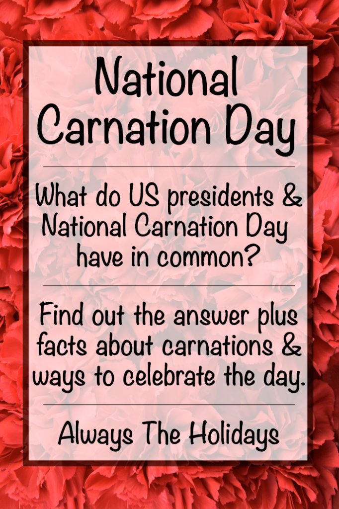 National Carnation Day - Facts About Carnations and History of the Day
