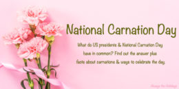 National Carnation Day - Facts About Carnations and History of the Day