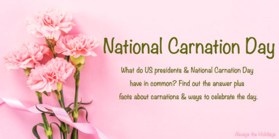 National Carnation Day - Facts About Carnations and History of the Day