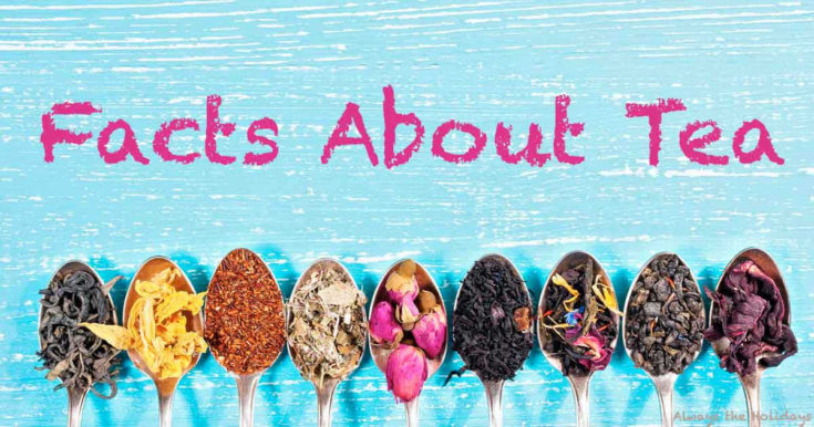 Tea Facts - 10+ Interesting Facts About Tea & Must Have Tea Accessories