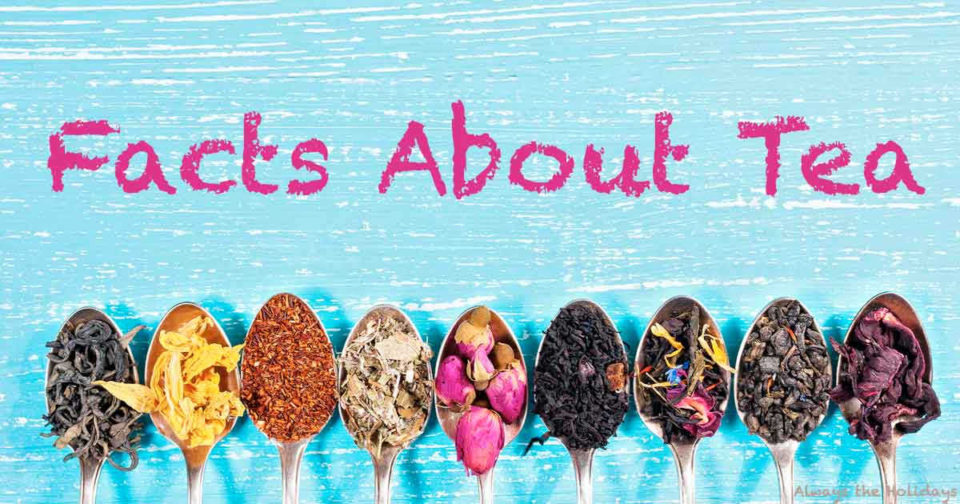 Tea Facts - 10+ Interesting Facts About Tea & Must Have Tea Accessories