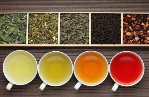 Tea Facts - 10+ Interesting Facts About Tea & Must Have Tea Accessories