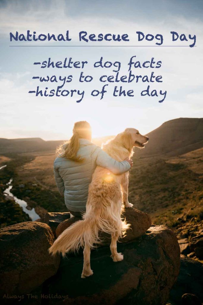 National Rescue Dog Day - Ways to Celebrate and Shelter Dog Facts