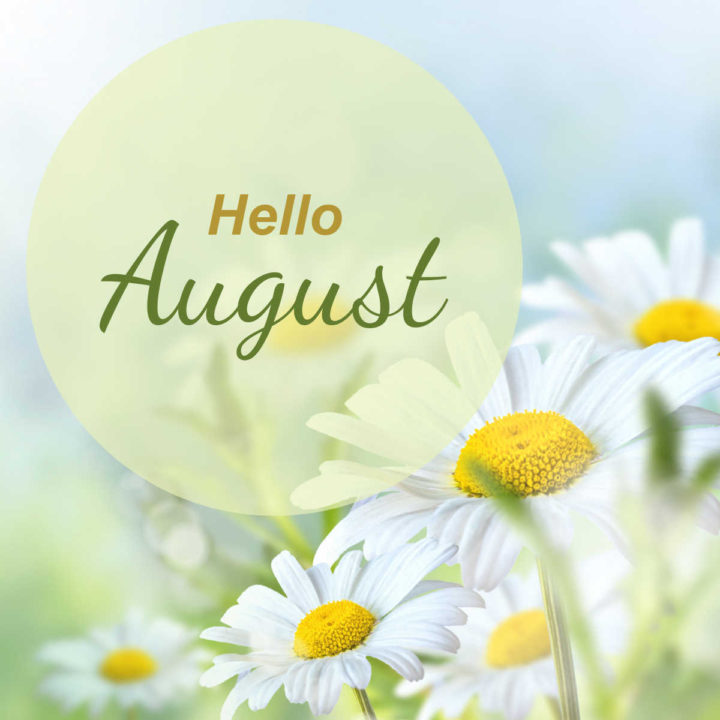 What Are the August National Days? - Get Our List to Find Out!