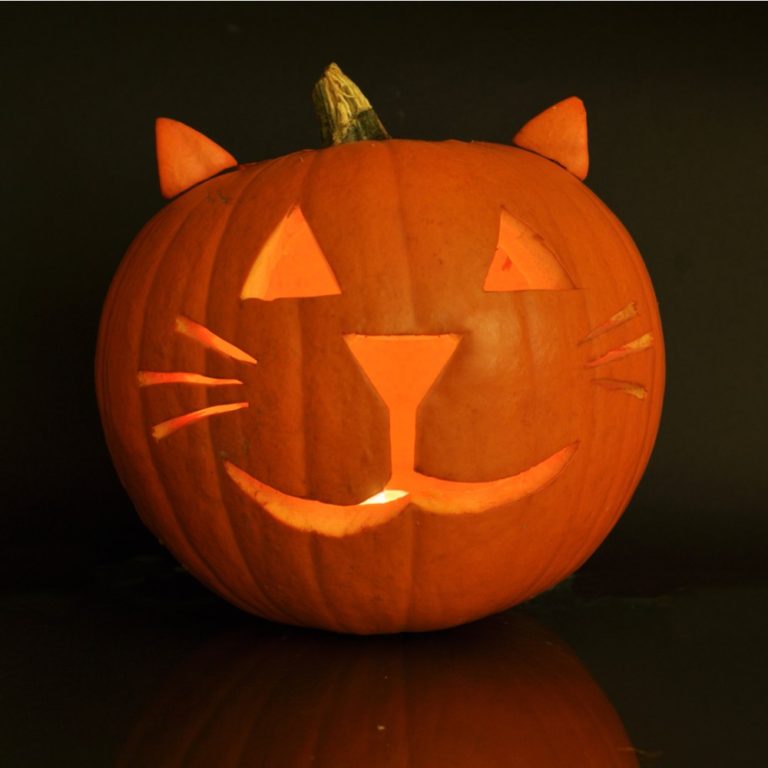Cat Pumpkin Carvings - Photos, Ideas & Tips to Carve Cat Jack o Lanterns