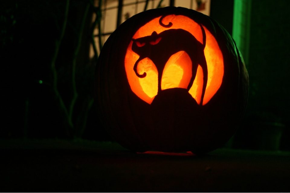 Cat Pumpkin Carvings - Photos, Ideas & Tips to Carve Cat Jack o Lanterns