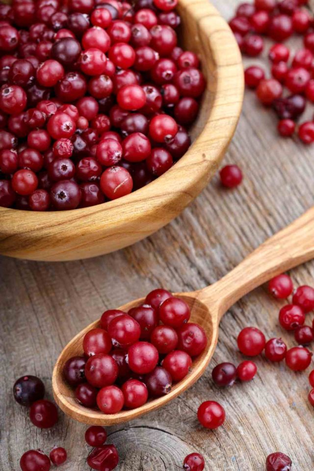 25+ Cranberry Facts - Interesting History, Trivia & Facts About Cranberries