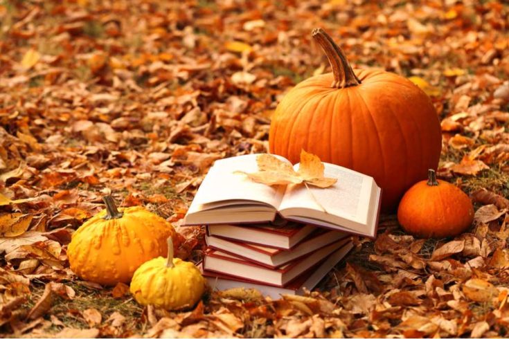 15+ Interesting Facts About Pumpkins to Celebrate Carve a Pumpkin Day