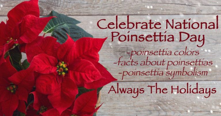 National Poinsettia Day - Poinsettia Colors, Symbolism, Facts & more!