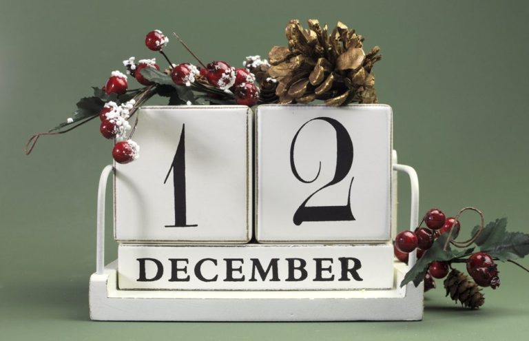 National Poinsettia Day - Poinsettia Colors, Symbolism, Facts & more!
