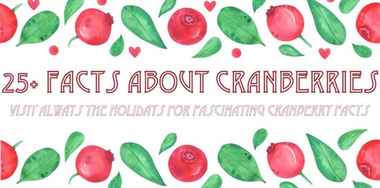 25+ Cranberry Facts - Interesting History, Trivia & Facts About Cranberries