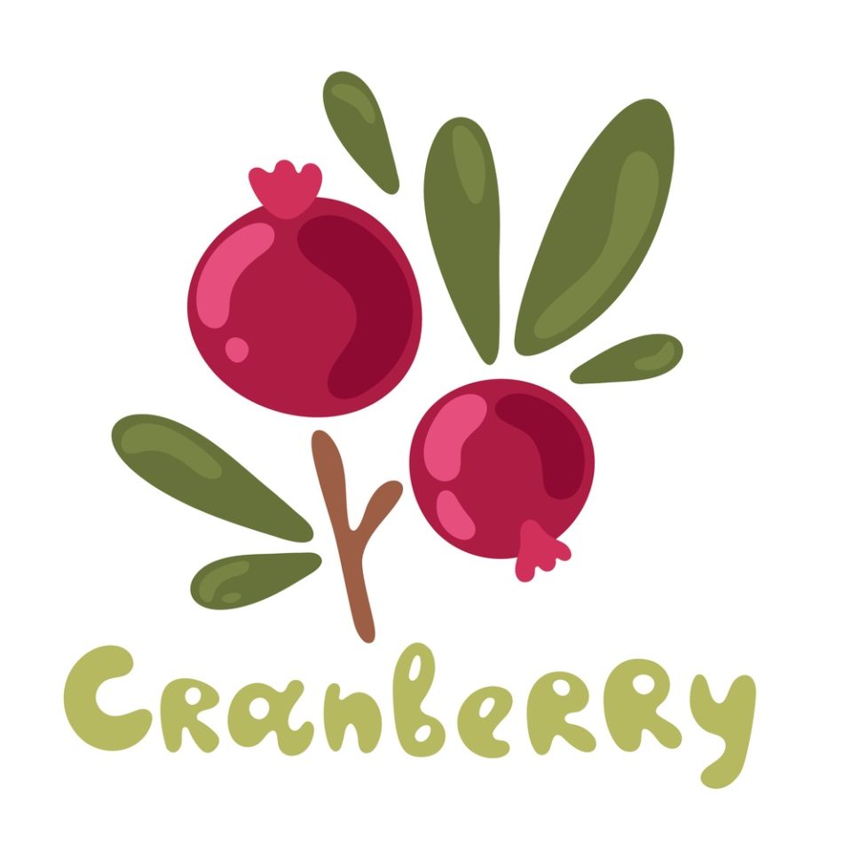 25+ Cranberry Facts - Interesting History, Trivia & Facts About Cranberries
