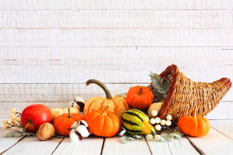 The Symbols of Thanksgiving Guide - History, Meanings & Recipes