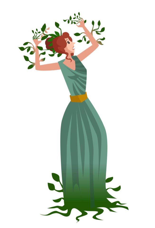 The Story of Daphne and Apollo - Plus Fun Facts About Apollo and Daphne