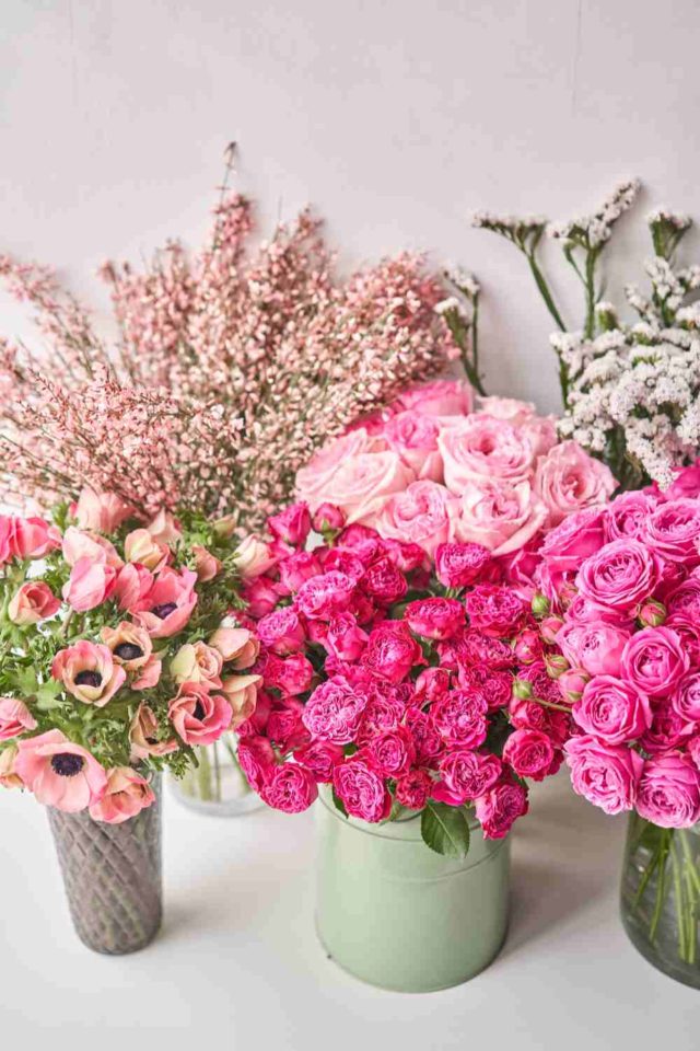 Facts About Roses - Learn Rose Colors, Rose History & More Rose Facts..