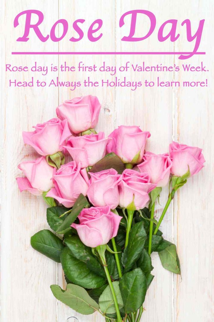 When is Rose Day and What are the Other Days of Valentine's Week?