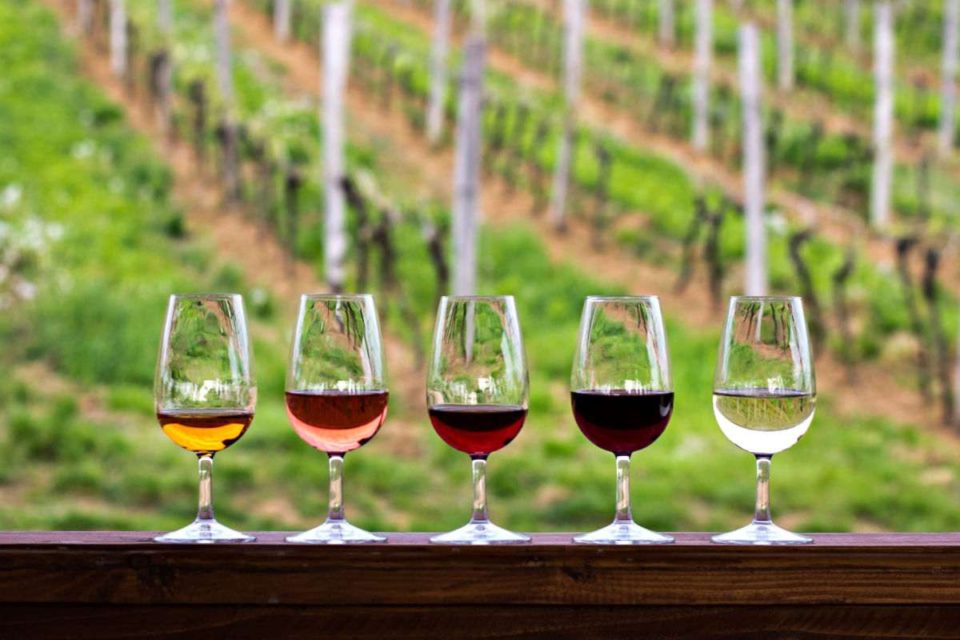 National Wine Day & The Full List of Wine Holidays During the Year