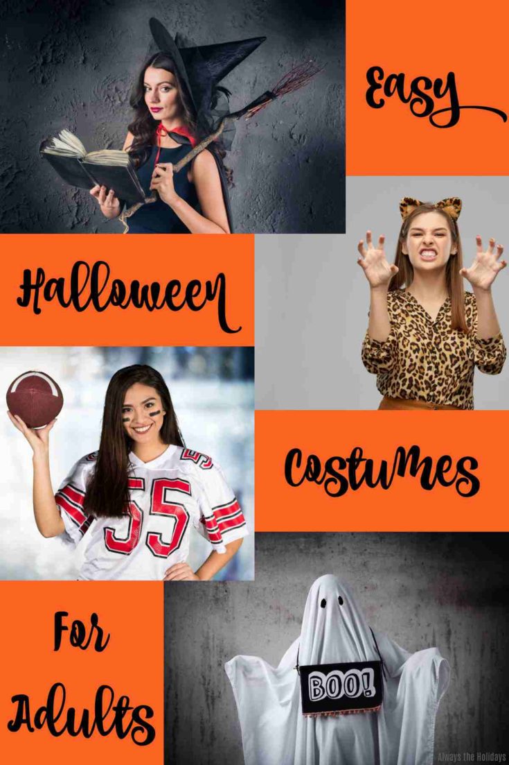 DIY Halloween Costumes for Adults - Last Minute Costume Ideas