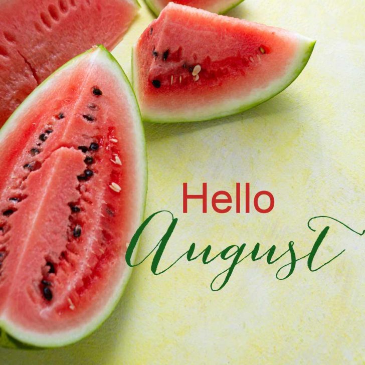 List of August Awareness Months & August National Months