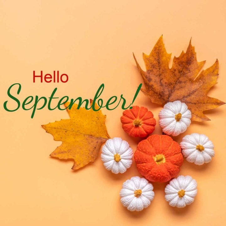 Food Holidays for September - Honor Fall with Food and Drink Days