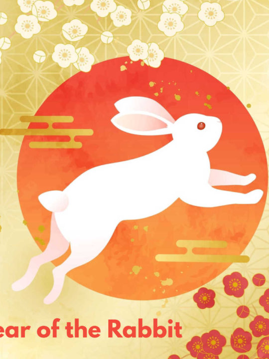 Chinese zodiac earth rabbit 60 photos - Astrologytoyou.com