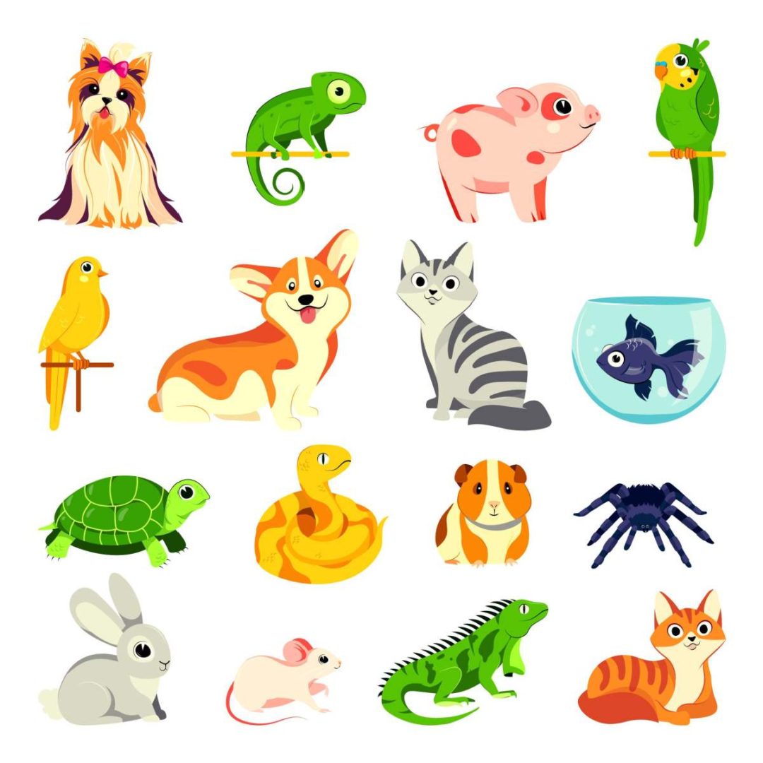 Learn 30+ Fun Facts about Pets for National Love Your Pet Day