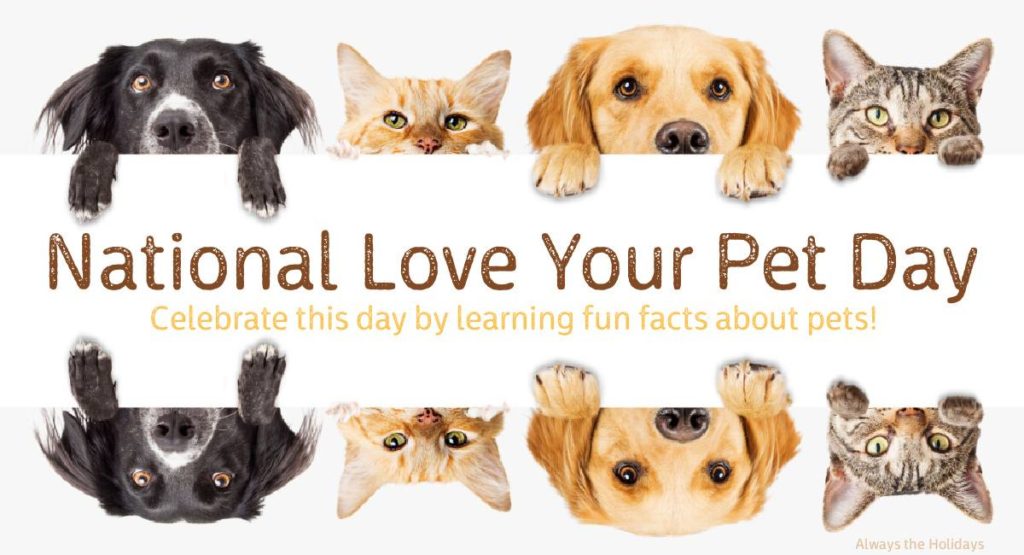 Learn 30+ Fun Facts about Pets for National Love Your Pet Day