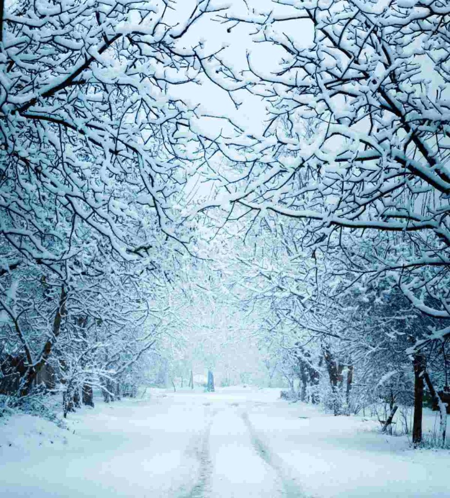 Free Winter Word Scramble Printable with Answer Key Included
