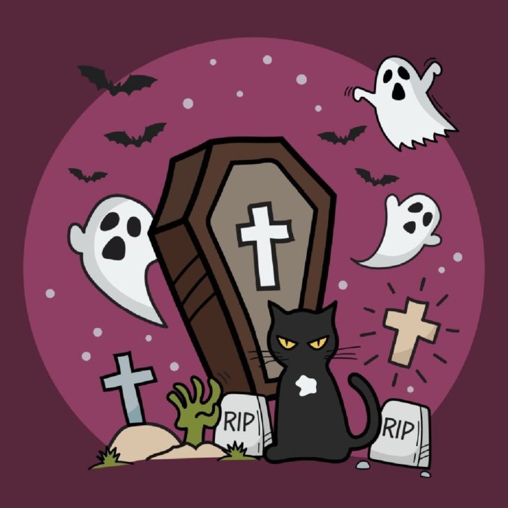The Cat Sith - A Spectral Cat in Scottish Folklore & Irish Mythology