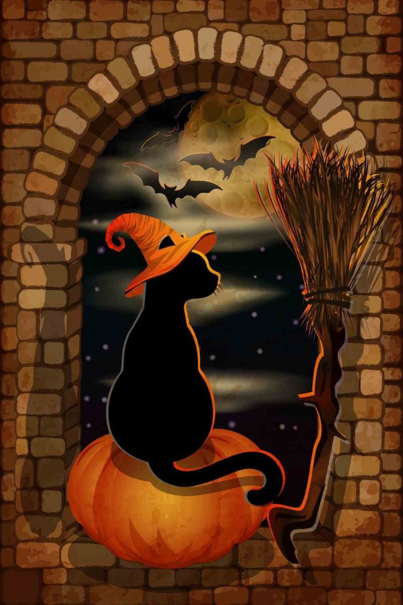 The Cat Sith - A Spectral Cat in Scottish Folklore & Irish Mythology