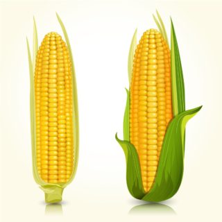 Maize Day - The Day after Thanksgiving - Maize vs Corn Explained