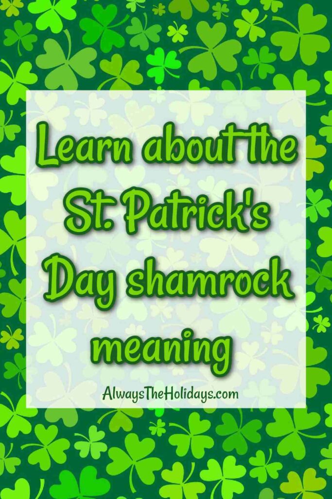 St. Patrick's Day Shamrock Meaning - 4 Leaf Clover vs Shamrock